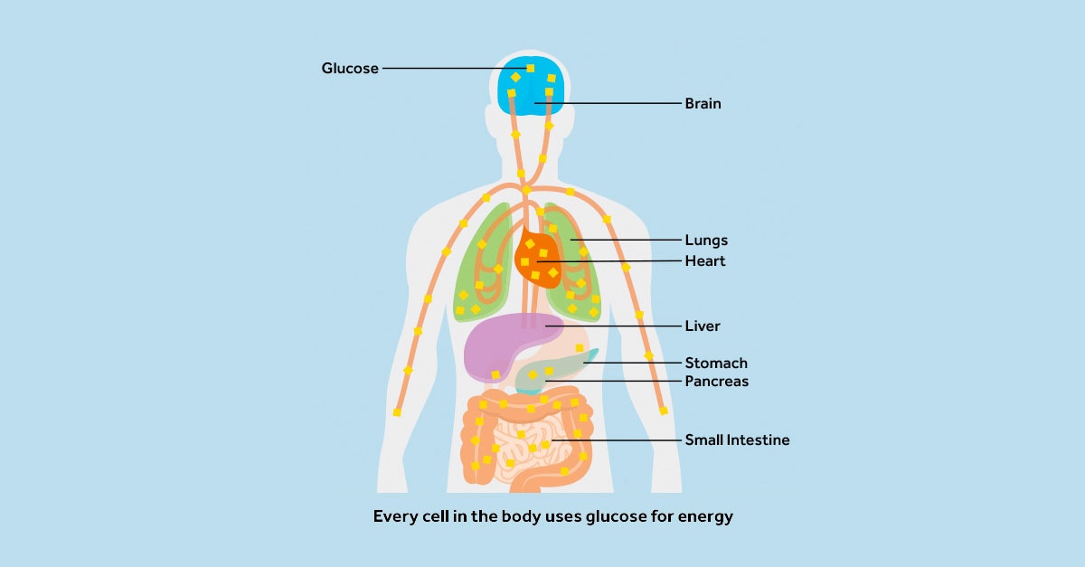 What is Diabetes | Medtronic
