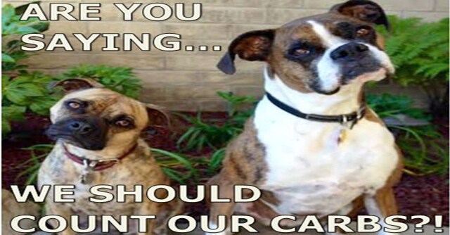 How to count carbohydrates: 5 tips to keep you on track | Medtronic ...